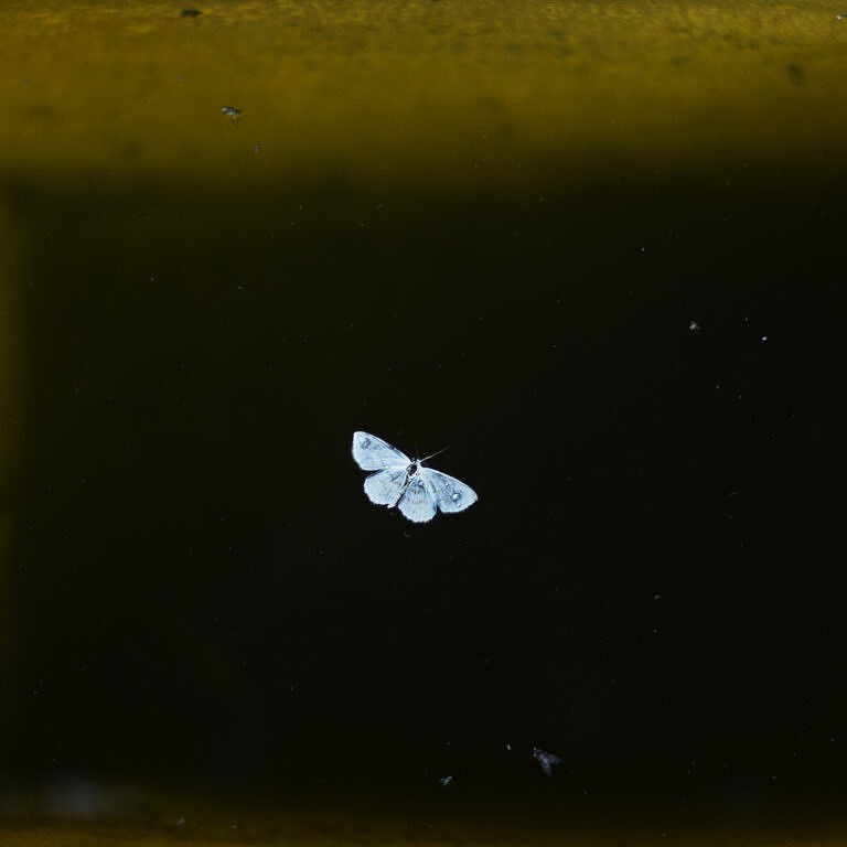 Relative Moments « Chose Commune