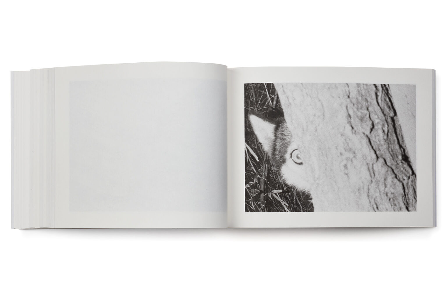 Family Diary — Issei Suda « Chose Commune