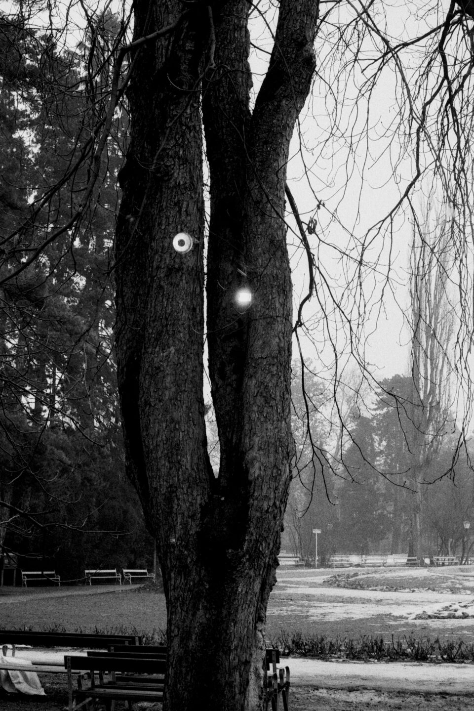 Photographs (1978-1985) « Chose Commune